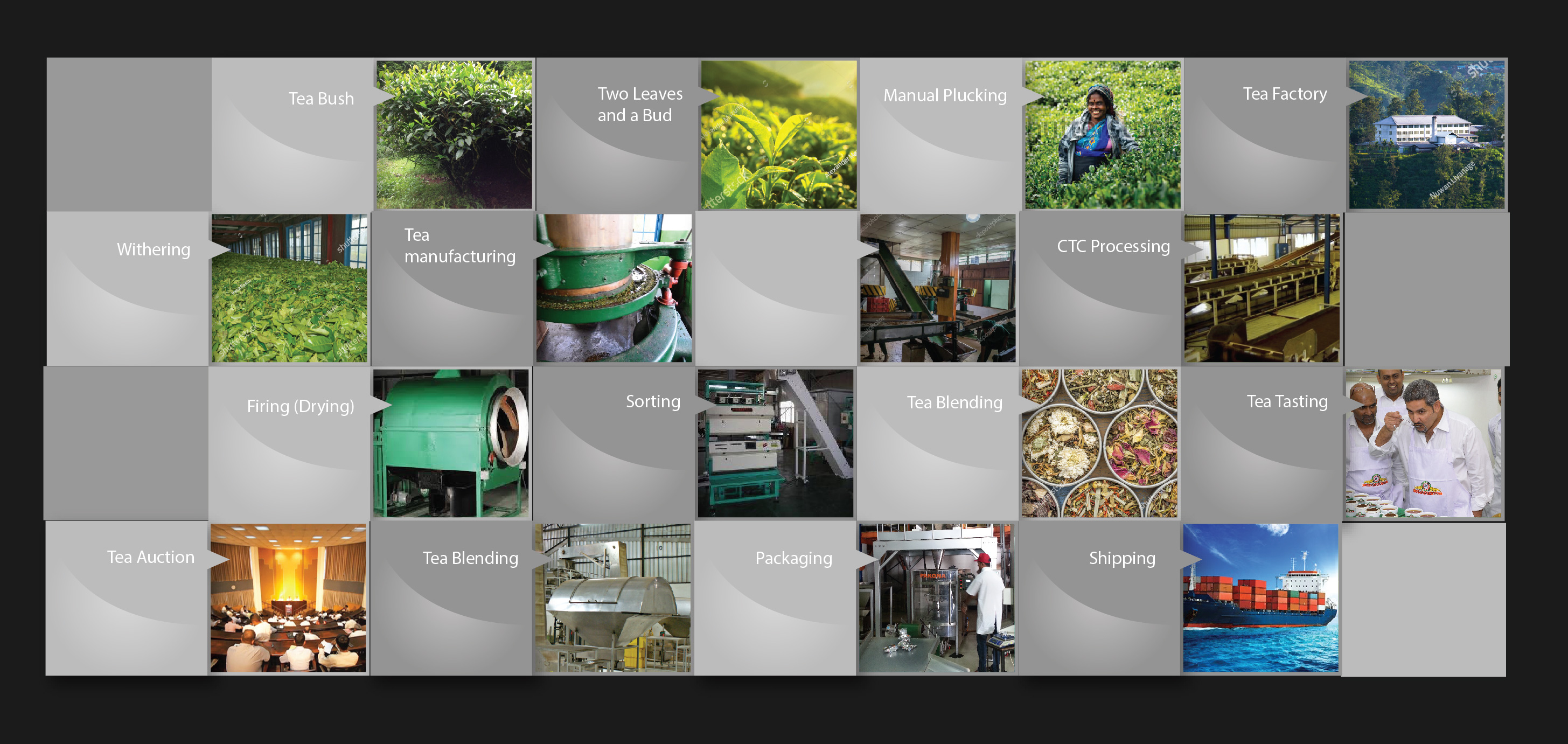 Ceylon Tea Sri Lanka | Anverally & Sons | Best Black Tea