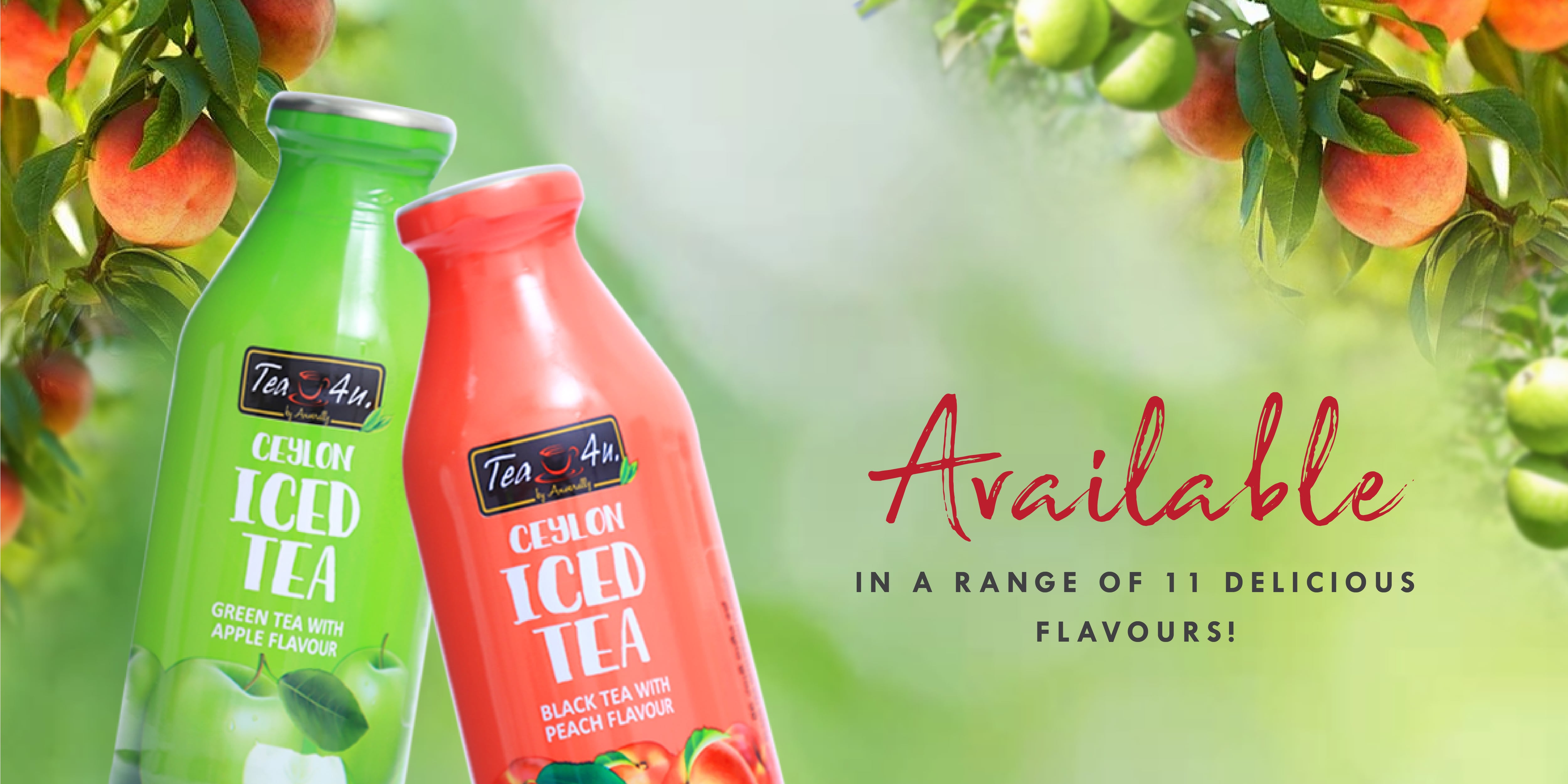 Tea Manufacturers, Suppliers & Exporters in Sri Lanka - Anverally Tea ...